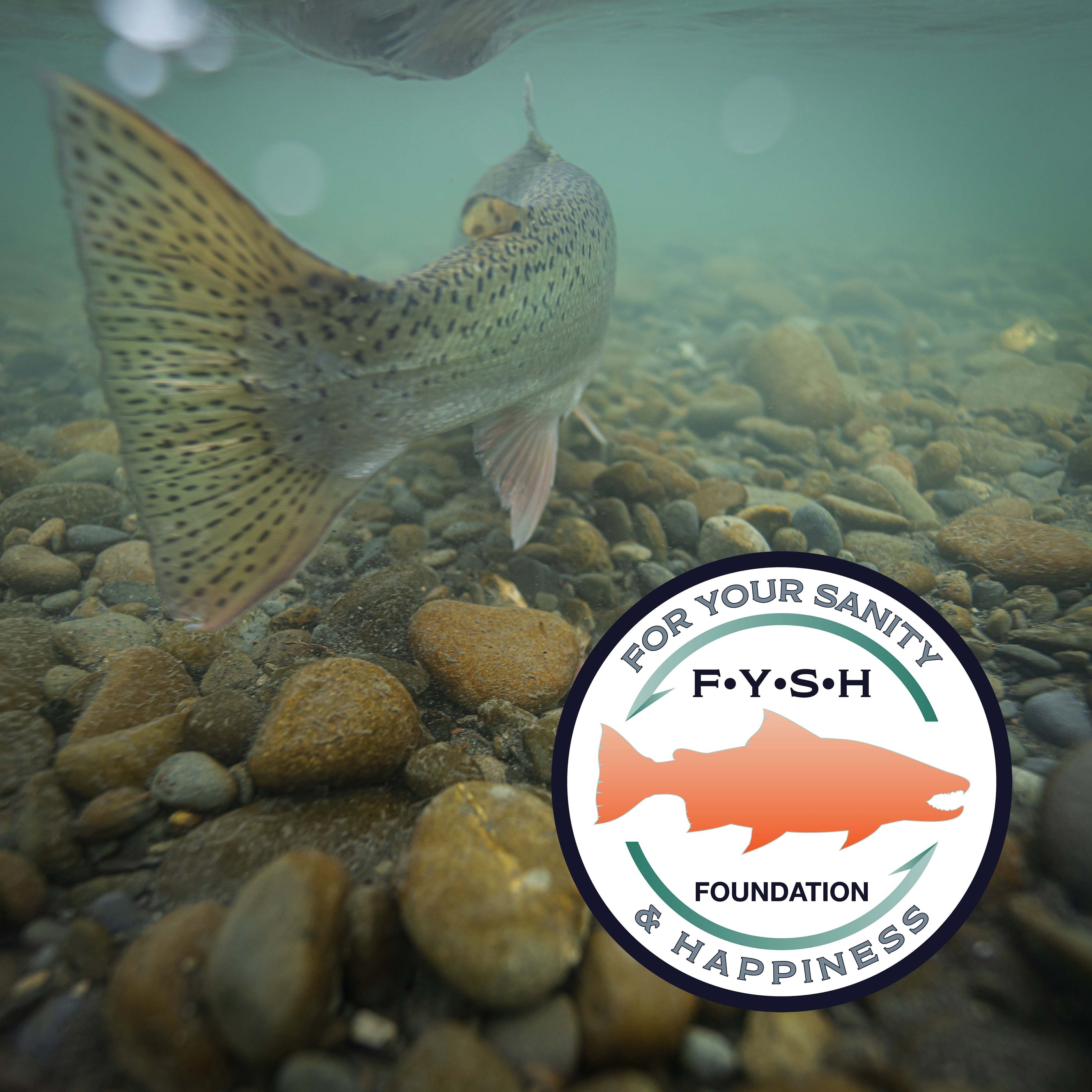 VOLUNTEER - ANGLER – F•Y•S•H - Foundation Non-Profit